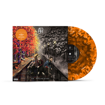 Vinyl – AJR Store